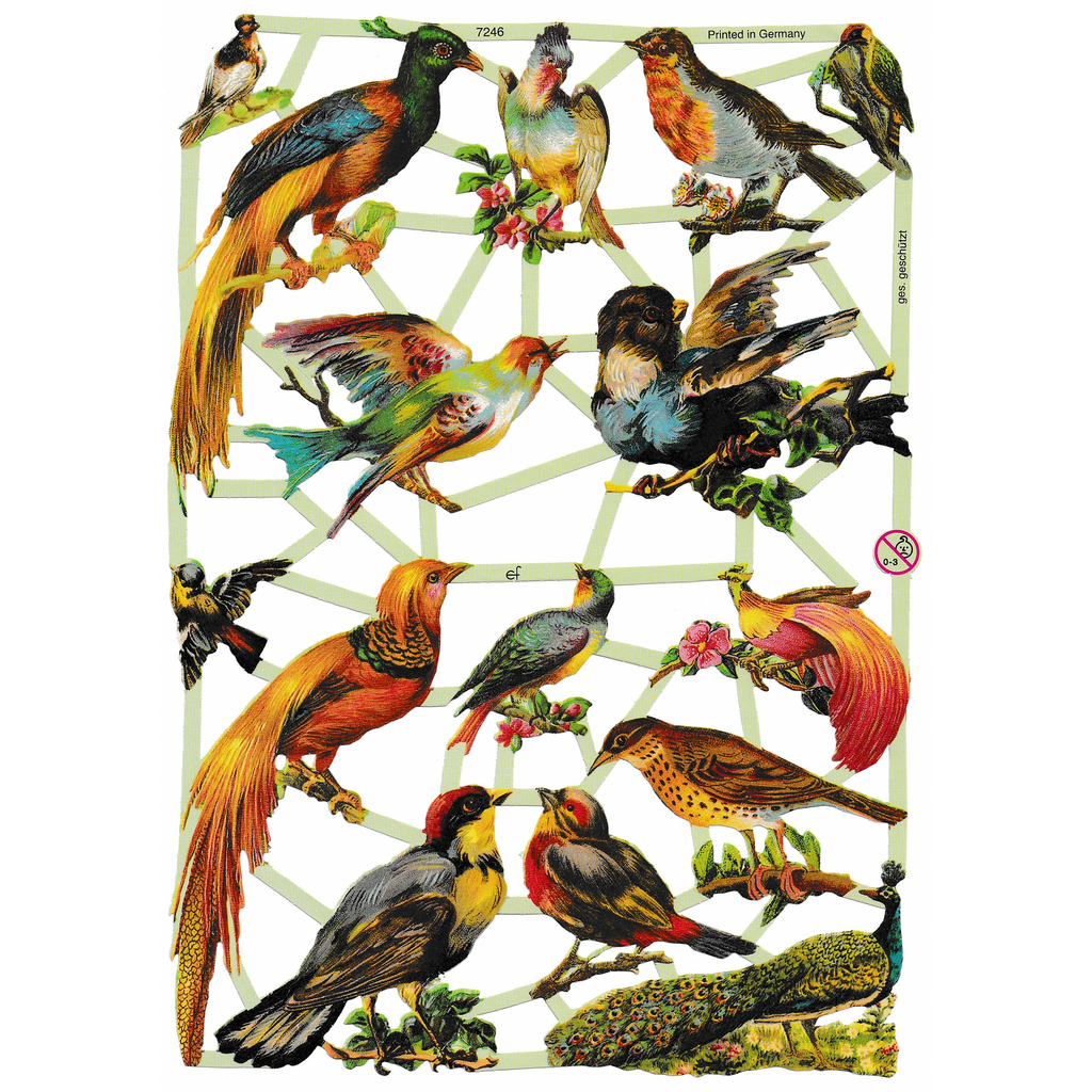 Vintage Lithography Sheet Birds | 100 - Meissa print