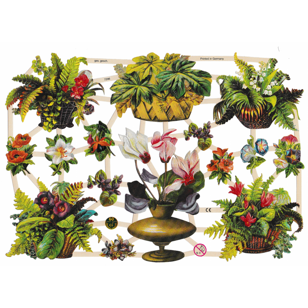 Vintage Lithography Sheet Flowers | 147 - Meissa print