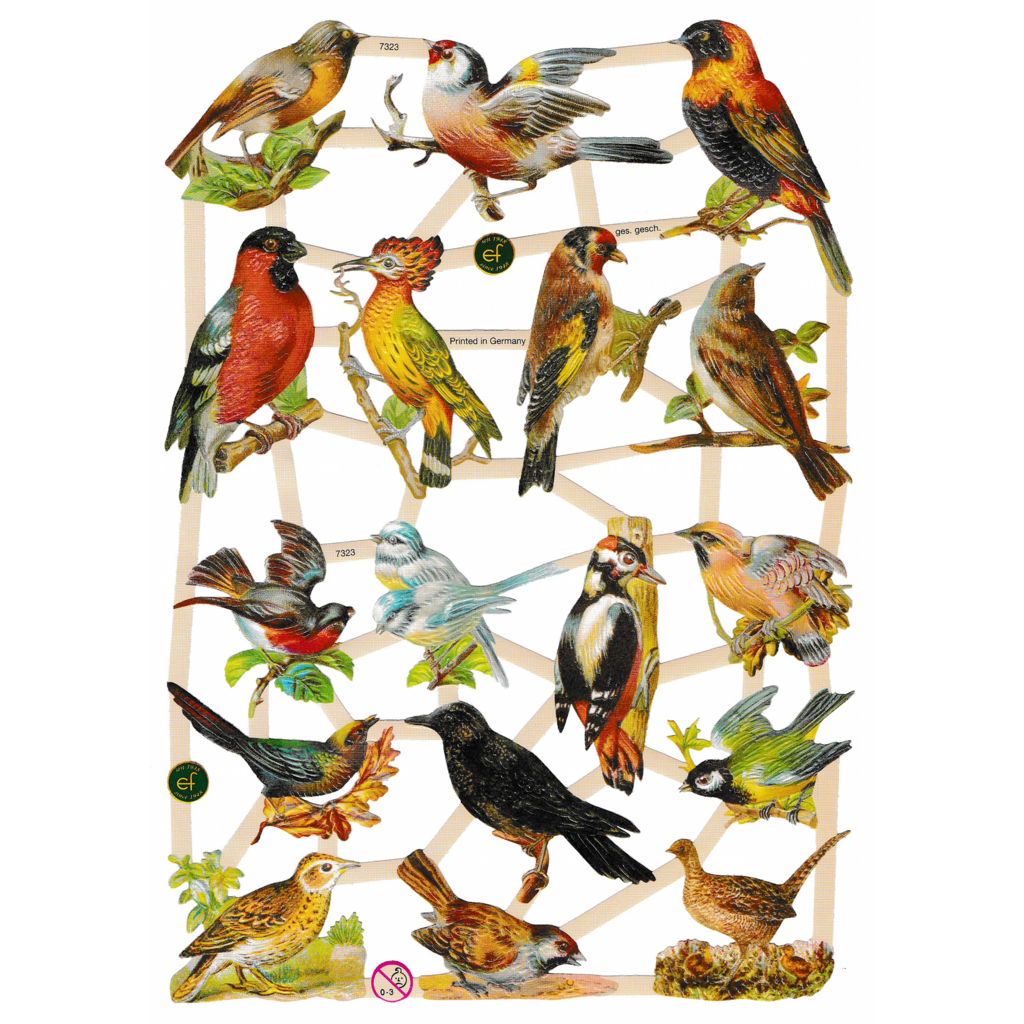 Vintage Lithography Sheet Birds | 167 - Meissa print