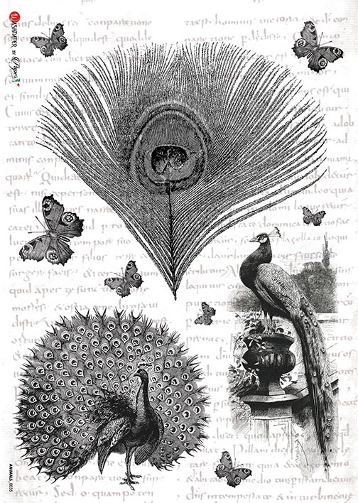 Rice Paper for Decoupage | A4 | Animals 0035 - Meissa print