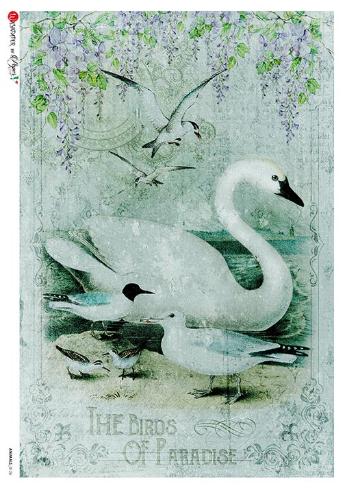 Rice Paper for Decoupage | A4 | Animals 0126 - Meissa print