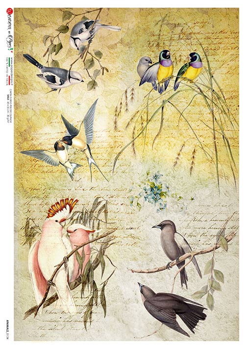 Rice Paper for Decoupage | A4 | Animals 0134 - Meissa print