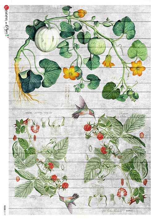 Rice Paper for Decoupage | A4 | Food 0117 - Meissa print