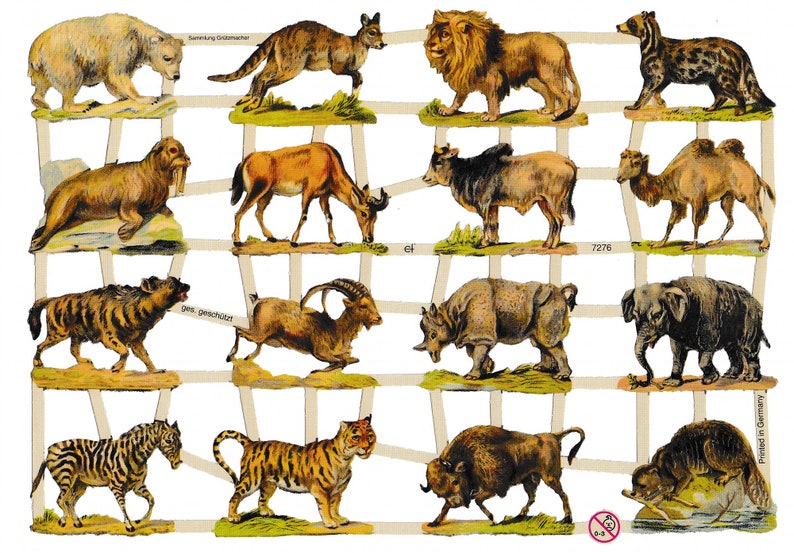 Vintage Lithography Sheet Animals | 170 - Meissa print