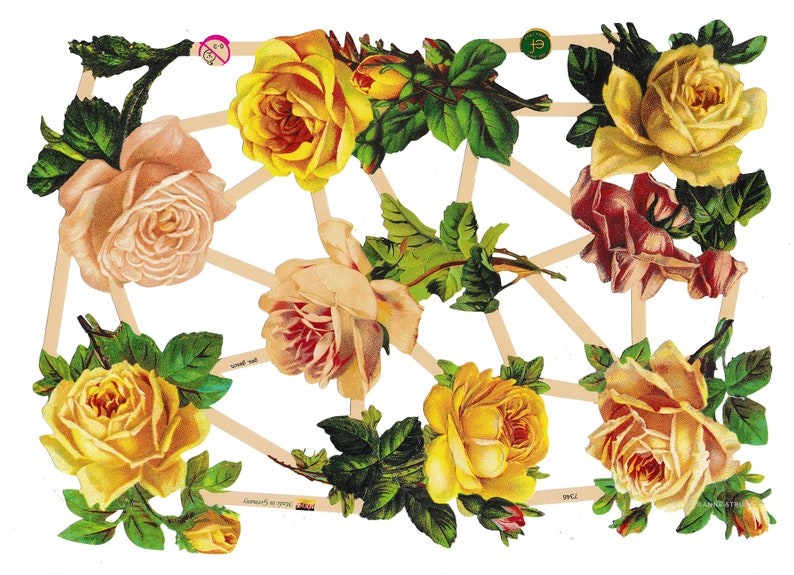 Vintage Lithography Sheet Roses | 249 - Meissa print