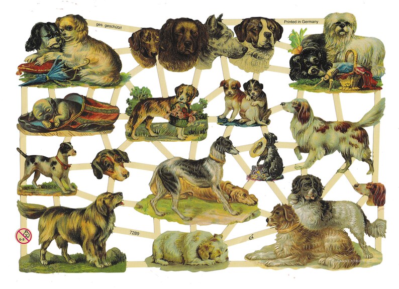 Vintage Lithography Style Sheet | 256 - Meissa print