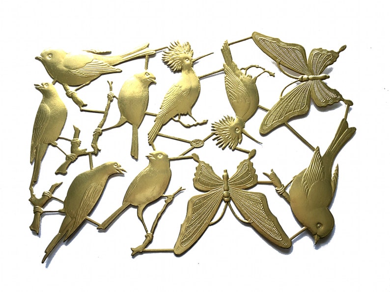 Dresden Ornaments - Birds and Butterflies - Meissa print