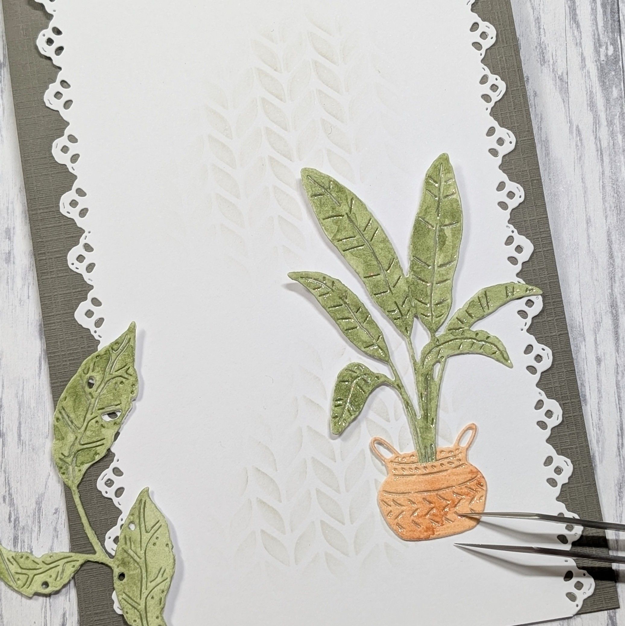 Gummiapan - Large Plant in a Basket - Meissa print